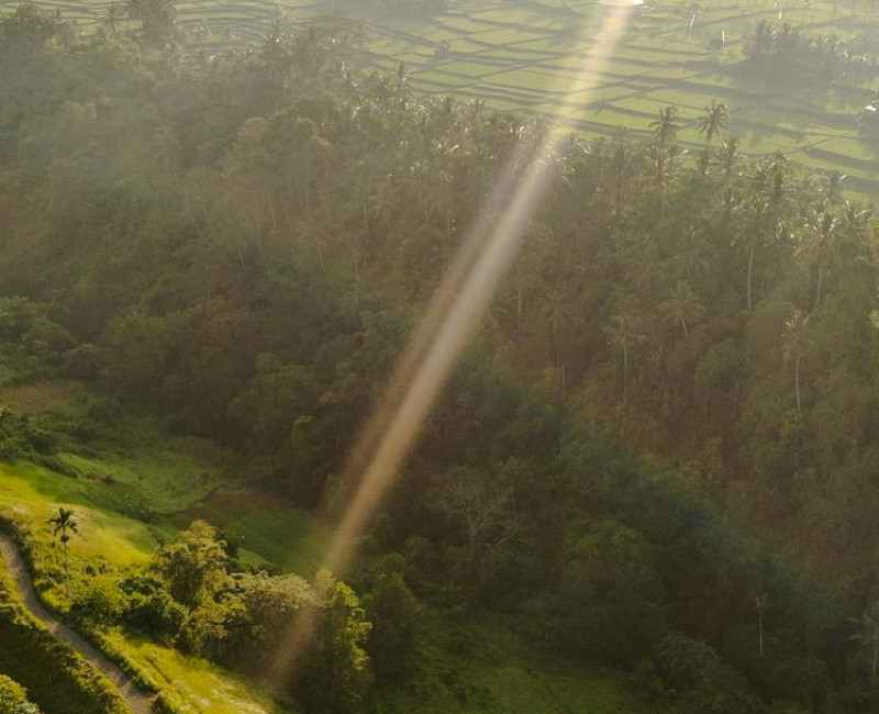 Win a trip with Djoser to Bali, Java or Lombok | Wereldmuseum Amsterdam