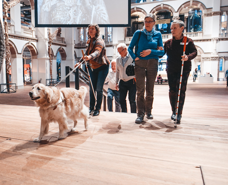 Beleef de wereld: voor blinde en slechtziende bezoekers | Wereldmuseum ...